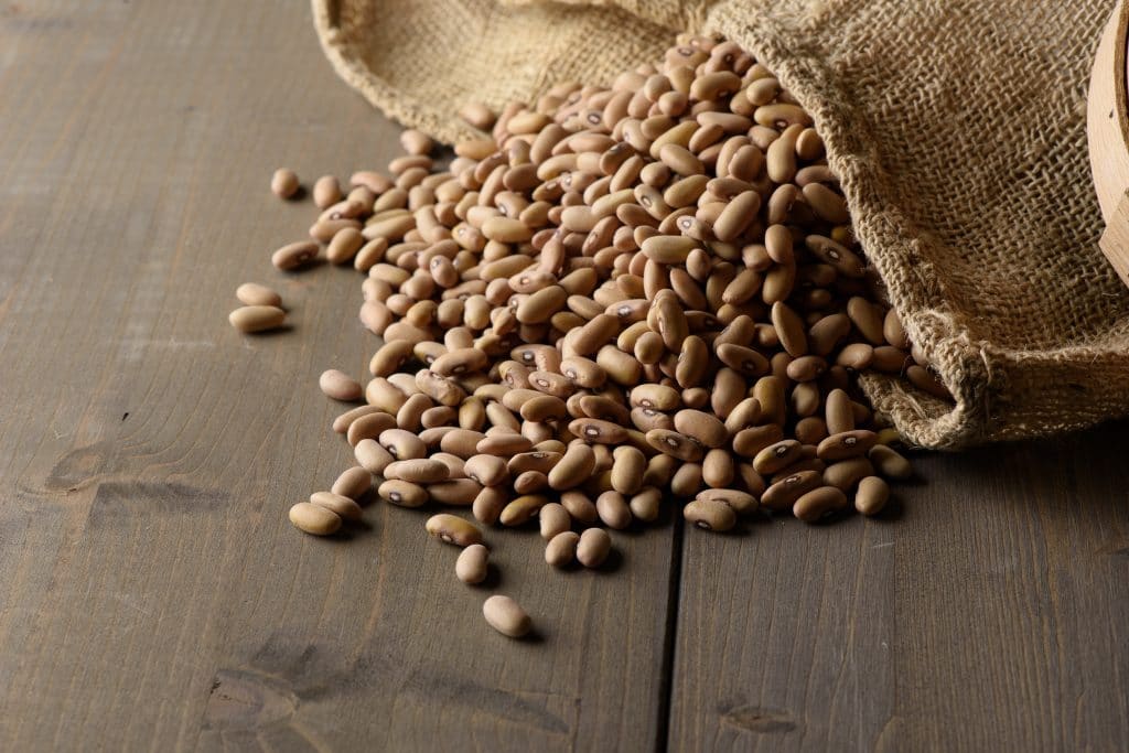 Fagiolo di San Quirino: la riscoperta di una tradizione - Il Blog di ...